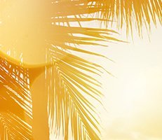 Eric Wruck, DC: Best Chiropractor Maui Kahului, HI: Back In Action ...