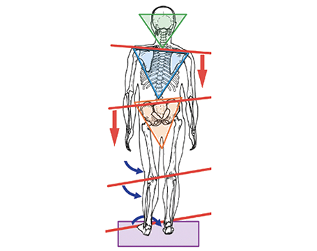 Structural Based Therapy: Chiropractors: Alpharetta, GA
